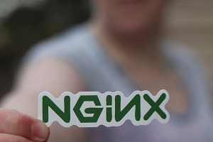 How To Increase Request Timeout In Nginx Ubiq Bi